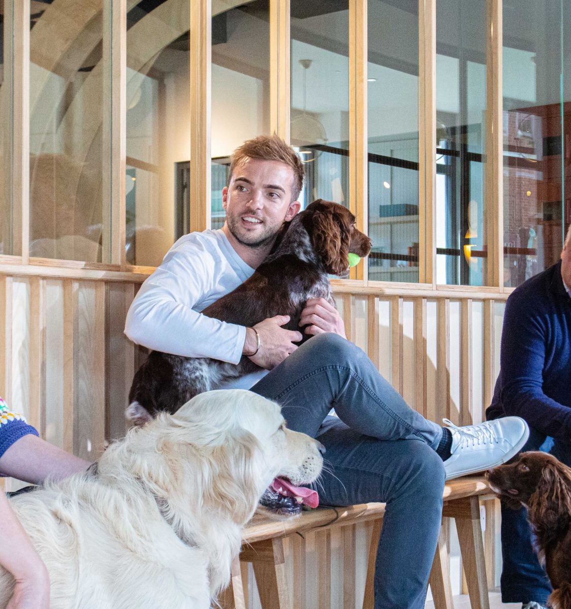 The WagWorks Story - How We Started
